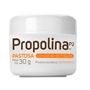 Pomada Propolina P2 Pastosa com Extrato de Própolis 30g - Pomada ...
